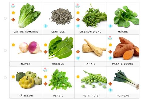 Dépliant nomenclature les légumes Nomenclature Légumes Légumes secs