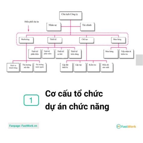 4 cơ cấu tổ chức quản lý dự án Mô hình kèm chi tiết ưu và nhược điểm