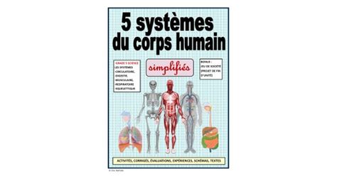 Syst Mes Du Corps Humain Simplifi S Grade