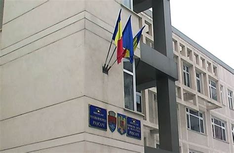 Newspascani Pa Cani T Rgu Frumos Ia I Post Vacant Scos La