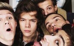 Your One Direction True Match Quiz Quotev