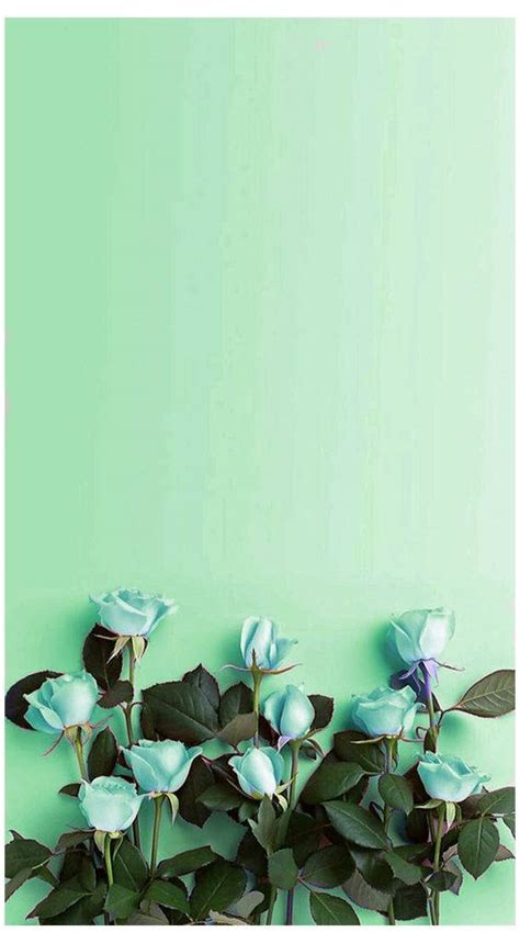 Top Mint Green Aesthetic Wallpaper Full Hd K Free To Use
