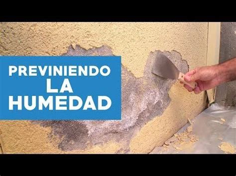 Aprende a eliminar la humedad de las paredes para así evitar sufrir