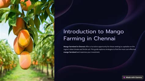PPT Best And Lowest Cost Mango Farmland Chennai M S Holidays Farm