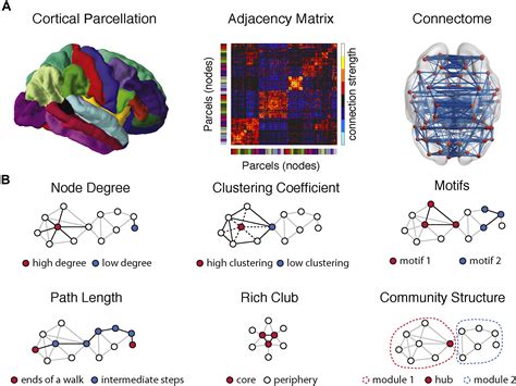 understanding the emergence of neuropsychiatric disorders with network neuroscience biological