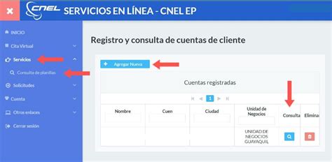 Consultar planilla de luz CNEL por cédula Ecuador 2023