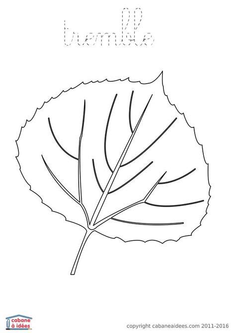 Fiches Et Pdf T L Charger Feuille Arbre Feuille Arbres En Papier