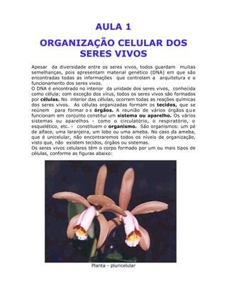 1 Organizacao Celular Dos Seres Vivos PDF