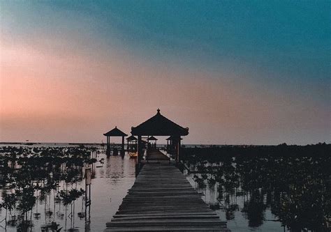 Tampilan Baru Wisata Jembatan Merah Hutan Mangrove Rembang Semakin