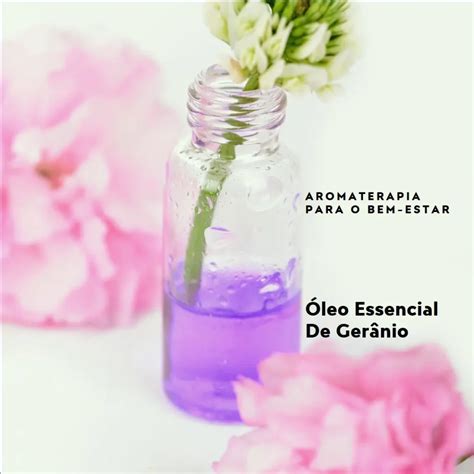 Oleo Essencial de Geranio no guia de Óleos Essenciais