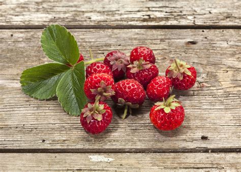 Vari T S De Fraises Cultiver Dans Votre Ext Rieur Jardiner Facile