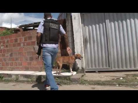 DEPOIS DE MATAREM POLICIAL BANDIDOS MORREM EM TROCA DE TIROS Boca De