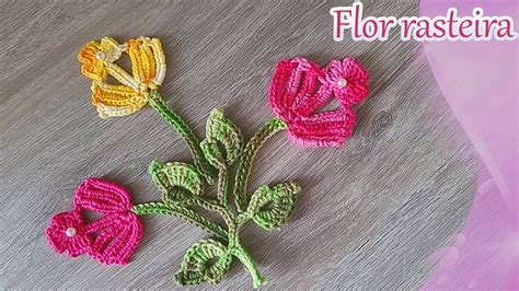 Flor Rasteira Para Aplica O Croch Econ Mico Simples E F Cil