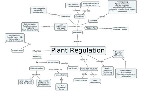 Mind Map Lesson Science State Board Class