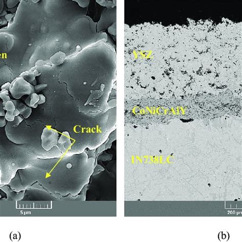 FESEM Image Of The Coatings A Surface And B Cross Section Of YSZ