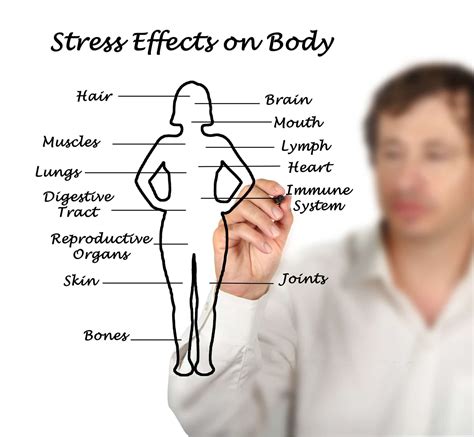 Stress Effects On Human Body Chart