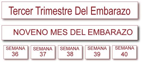 El Noveno Mes Del Embarazo Sana Y Hermosa