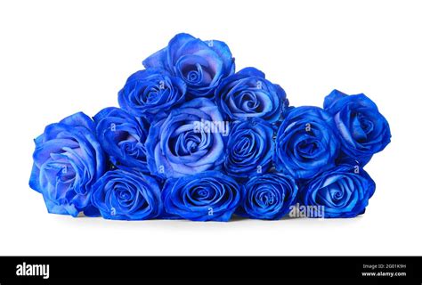 Lbum Hermosas Rosas Azules Abzlocal Mx