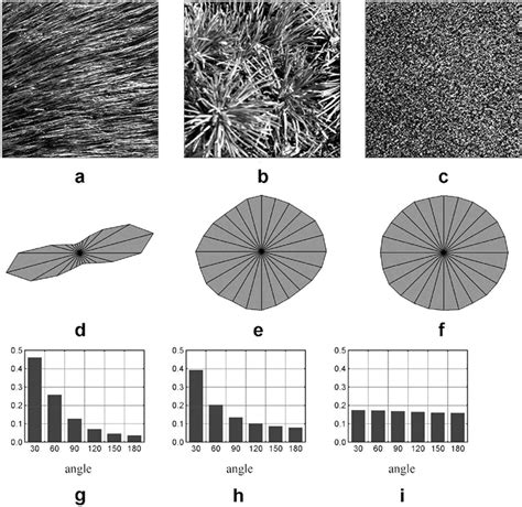 example of natural textures upper row and their anisotropy middle download scientific
