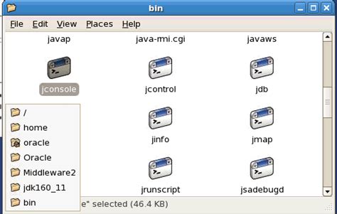 Develop And Diagnose Jdbc Programs And Java Classes In The Database