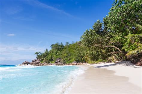 Seychelles Anse Georgette Playa Praslin Isla Vacaciones Mar Foto Premium
