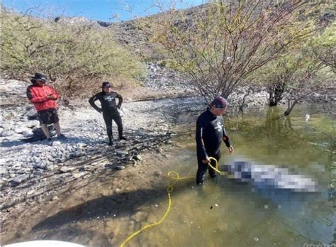 Localizan Cuerpo De Ahogado En La Presa Francisco Zarco