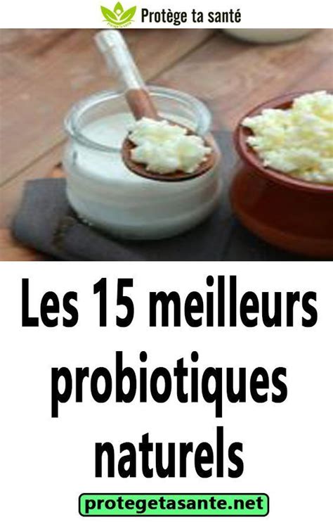 Les 15 Meilleurs Probiotiques Naturels Avec Images Aliments