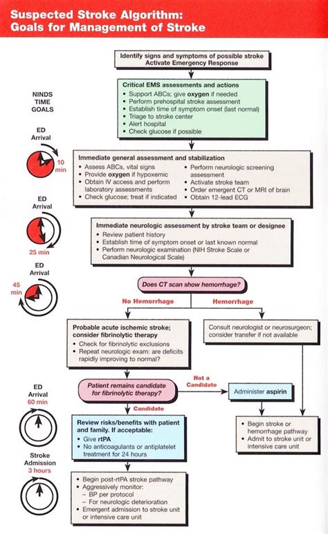 Acls Stroke Algorithm Acls Algorithms You Need To Know The