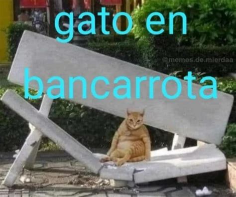 Últimos memes Memedroid