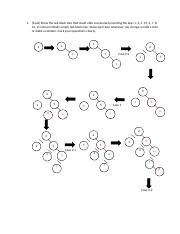 Cse Recitation Docx Pts Show The Red Black Tree That