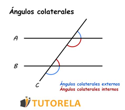 Ángulos colaterales Tutorela