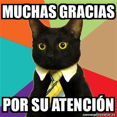 Meme Business Cat Muchas gracias por su atención 31744966