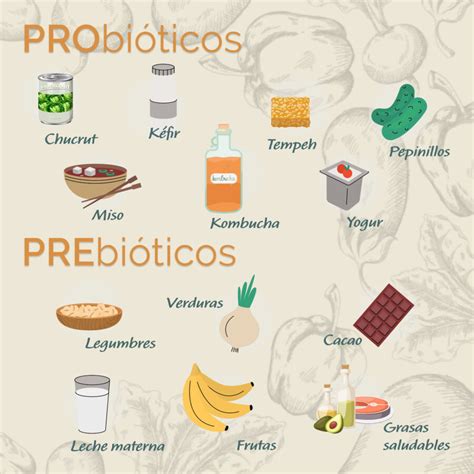 Prebióticos y probióticos Qué son Berta Pinto Robayna Nutricionista