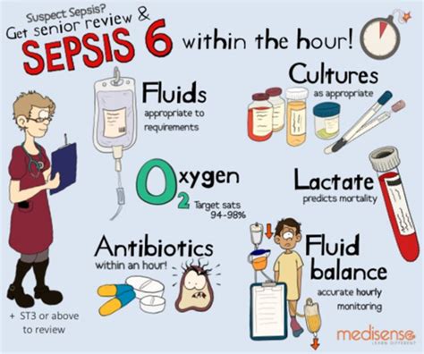 Sepsis Flashcards Quizlet
