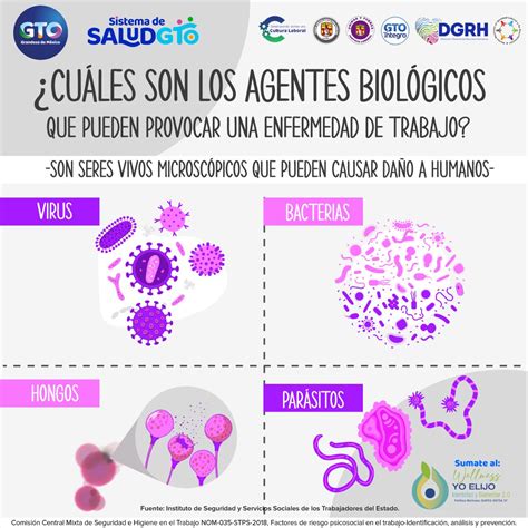 Sindicato De Salud De Guanajuato SNTSA37 On Twitter Conoce Los