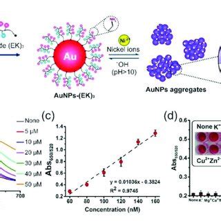 AuNP EK 3 Nanoprobe Based Colorimetric Detection Of Ni 2 A