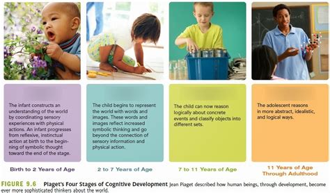 Jean Piaget Cognitive Development Diagram Quizlet