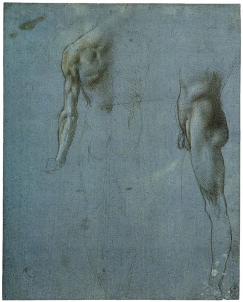 Da Vinci Nude Telegraph