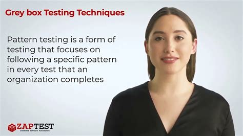 Grey Box Testing Techniques Zaptest