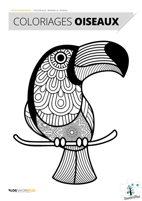 Téléchargement Coloriages mandalas oiseaux Le blog SavoirsPlus