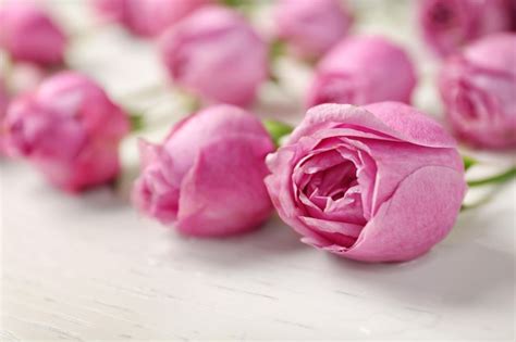 Hermosas Rosas Rosadas Sobre Fondo De Madera Foto Premium