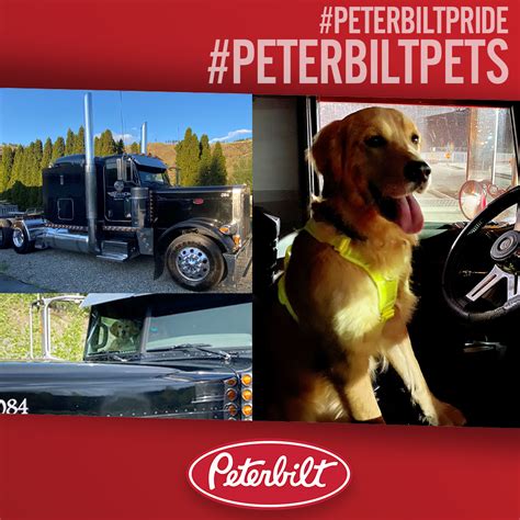 Peterbilt Motors Co On Twitter Klyde Loves To Ride With Brett And