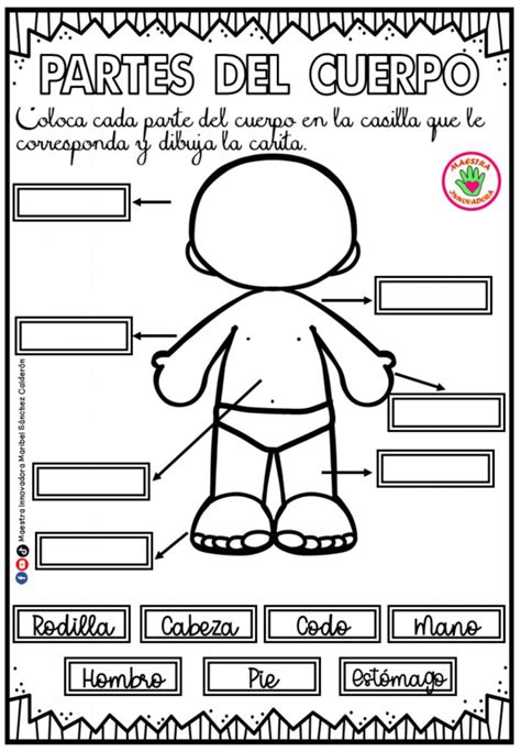 Fichas Para Trabajar El CUERPO HUMANO