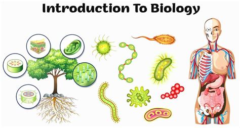 Biology Class Notes Chapter