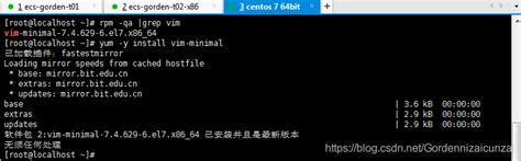 linux出现 bash vim 未找到命令 linux输入virsh未找到命令 csdn博客