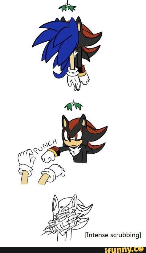 Sonic Funny Pictures 2 Sonadow Kiss
