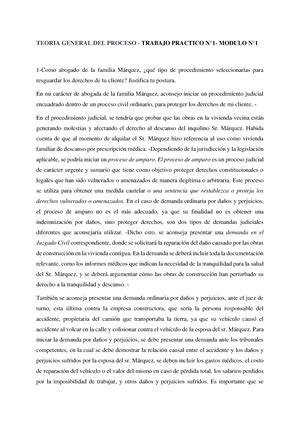 Teoria GRAL DEL Proceso TP2 universidad siglo 21 TEORÍA GENERAL DEL