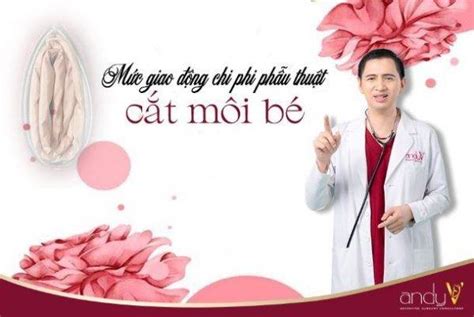 Chi phí phẫu thuật cắt môi bé vùng kín Những điều bạn chưa biết