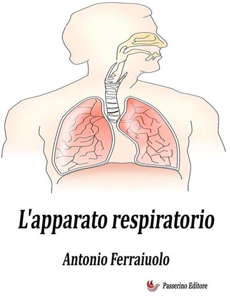 Sistema Respiratorio Dei Rettili