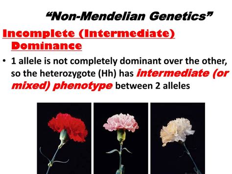 ppt non mendelian inheritance patterns modes of inheritance h biology ms kim powerpoint